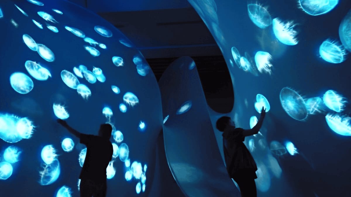 What is a Lidar Interactive Projection System?